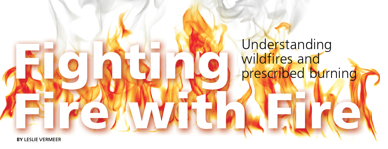 Understanding Wildfires and Prescribed Burning | T8N