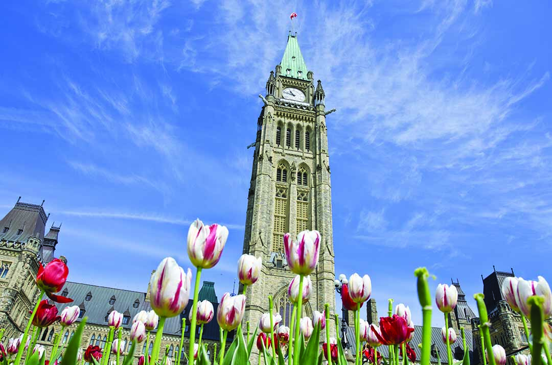 Summer in Ottawa | T8N