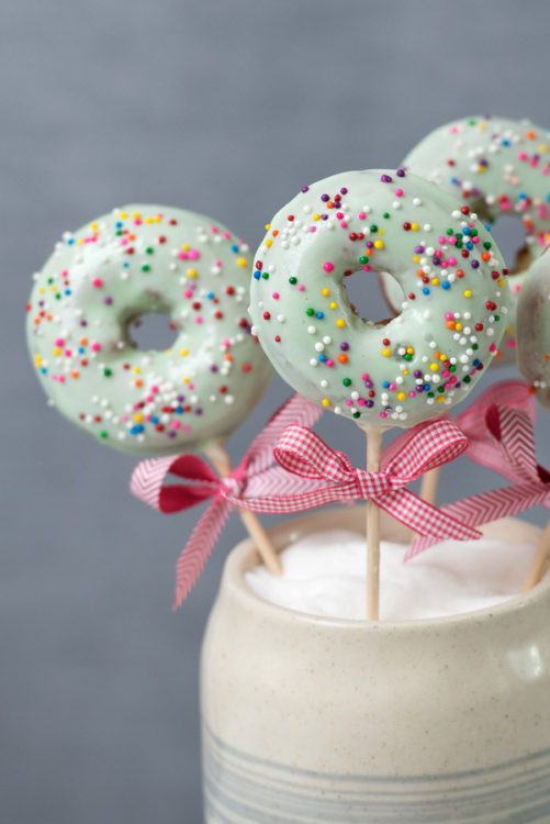 Doughnut Rattles | T8N