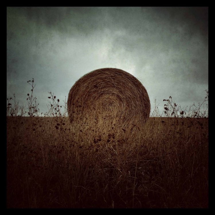 Allan Bailey, Art Photographer | T8N