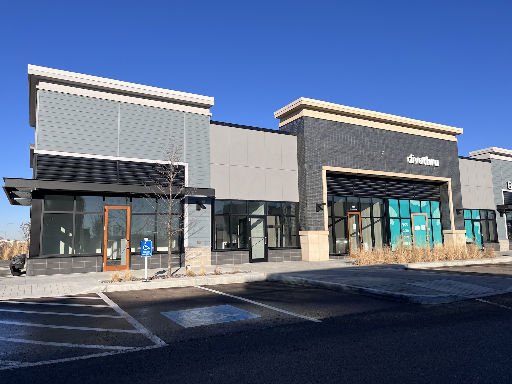 Sophie Gray, Dive Thru | T8N